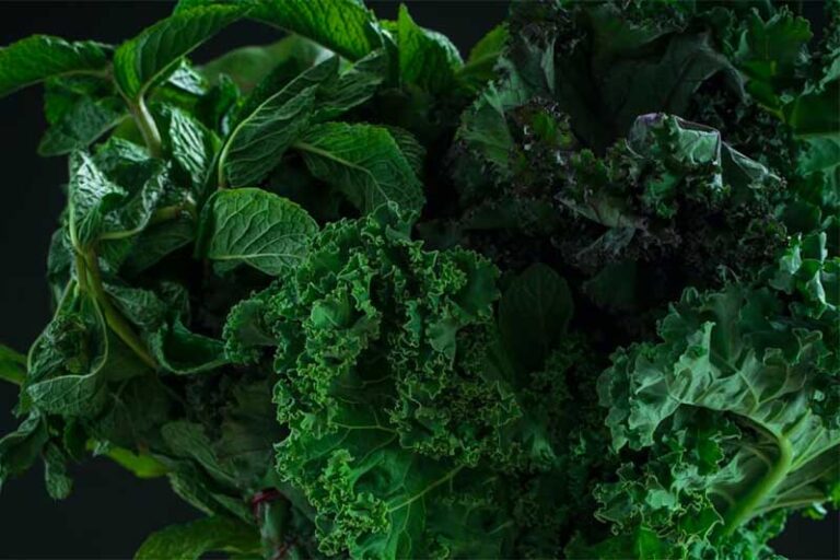 Blood Deficiency and Building Blood with TCM – Lavender House ...